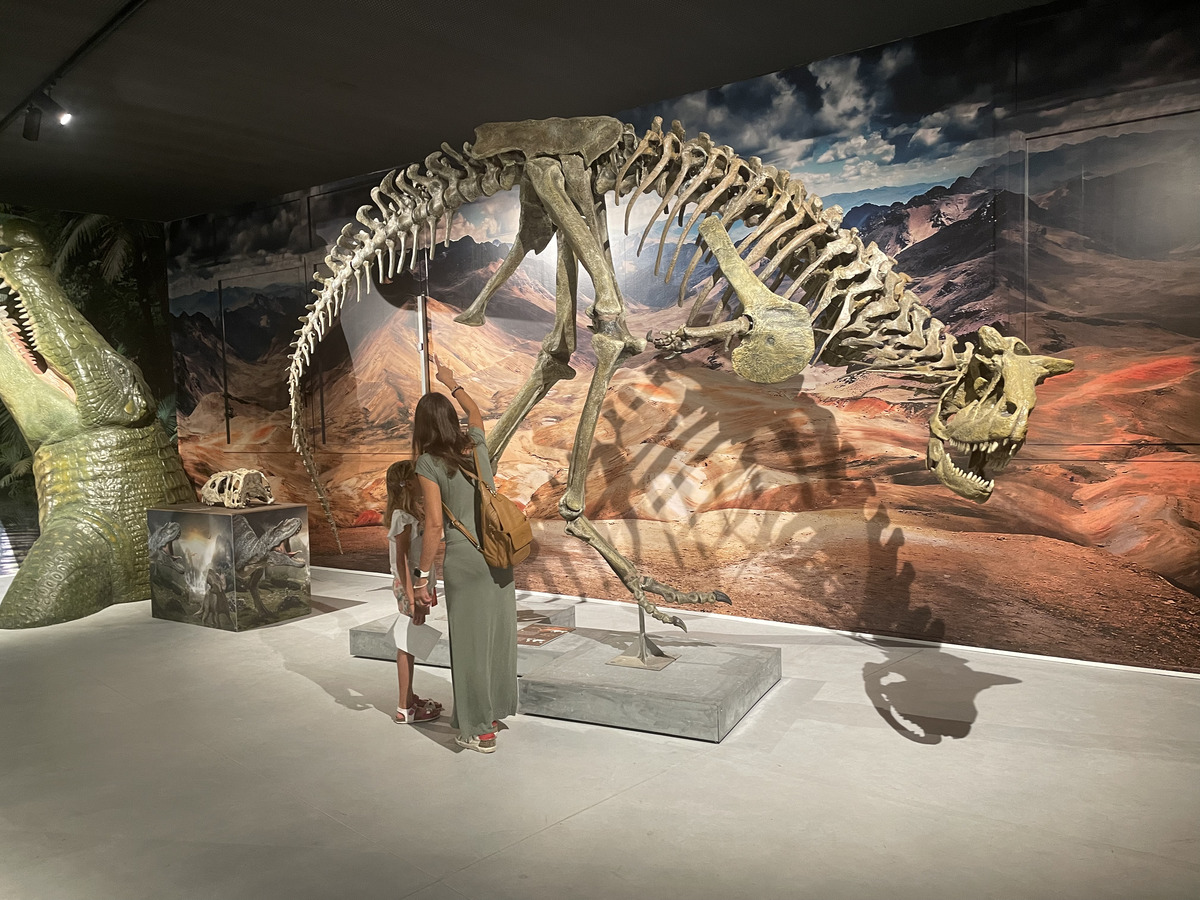 JMUSEO – IL MUSEO DI STORIA NATURALE DI JESOLO – Anima Jesolo